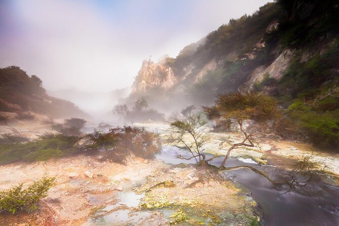 Rotorua based Small Group Morning Tour Waimangu and Wai O Tapu - Final Thoughts