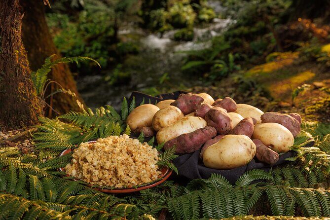 Rotorua Cultural & Geothermal Small Group Tour From Auckland - The Value for the Price