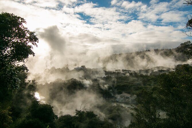 Rotorua Cultural Small Group Afternoon Tour - What the Tour Offers: An In-Depth Look
