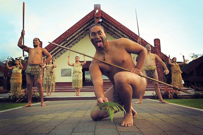 Rotorua Discovery Te Puia Tour - A Practical Look at the Rotorua Discovery Te Puia Tour