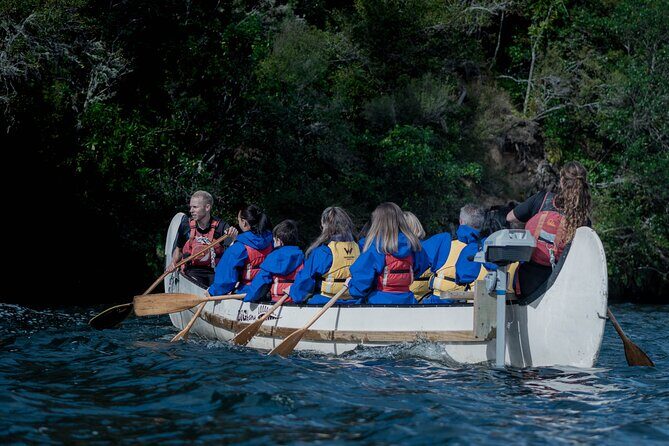 Rotorua Evening Big Kanu Starlight Tour - A Detailed Look at the Rotorua Big Kanu Starlight Tour
