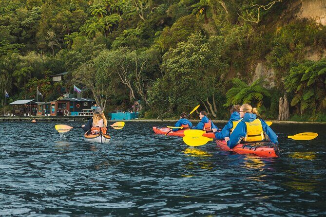 Rotorua: Evening Starlight Gourmet Kayak Tour Glowworms - An In-Depth Look at the Experience