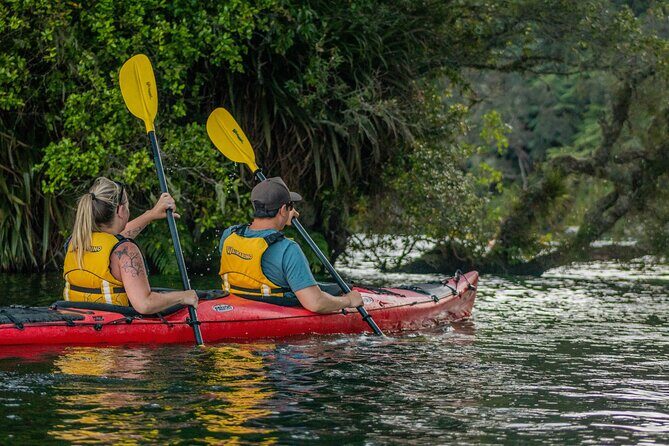 Rotorua: Evening Starlight Gourmet Kayak Tour Glowworms - Final Thoughts