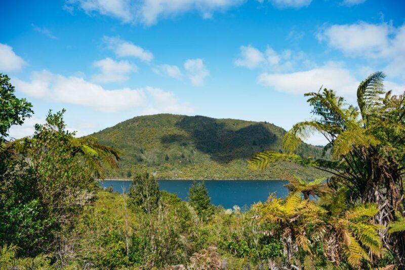 Rotorua: Explore The Lakes Half-Day Morning Tour - Authenticity and Traveler Feedback