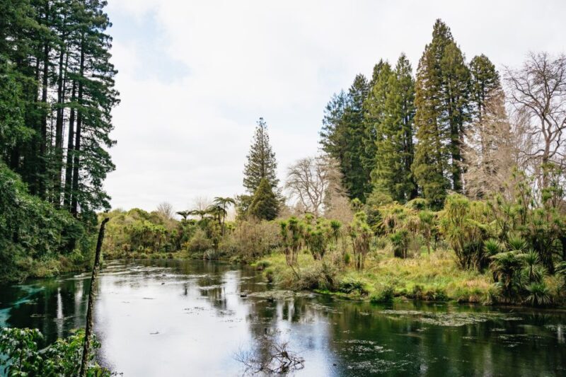 Rotorua: Explore The Lakes Half-Day Morning Tour - FAQs