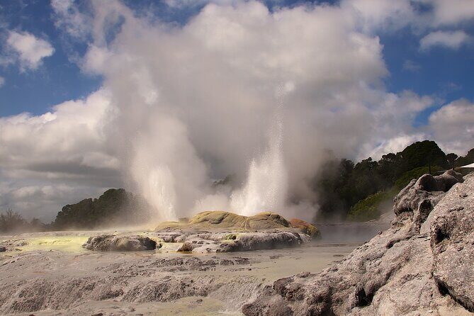 Rotorua Full Day Adventure in Glowworm Cave and Redwoods - Key Points