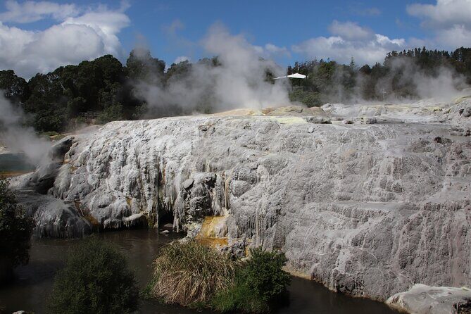Rotorua Full Day Adventure in Glowworm Cave and Redwoods - A Detailed Look at the Rotorua Full-Day Adventure