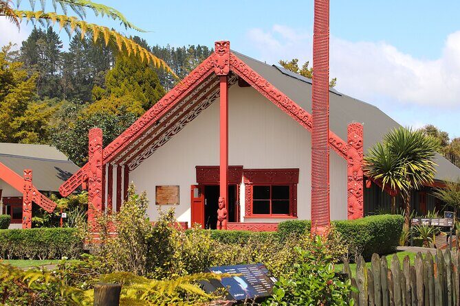 Rotorua Full Day Adventure in Glowworm Cave and Redwoods - Who Is This Tour Best Suited For?