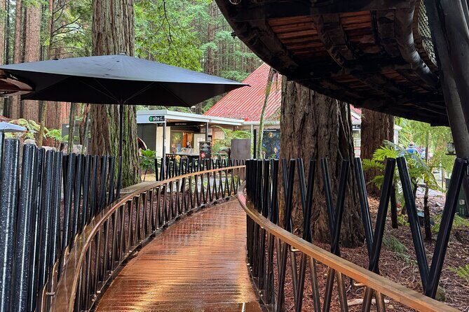 Rotorua Full Day Adventure in Glowworm Cave and Redwoods - FAQ — Your Practical Questions Answered