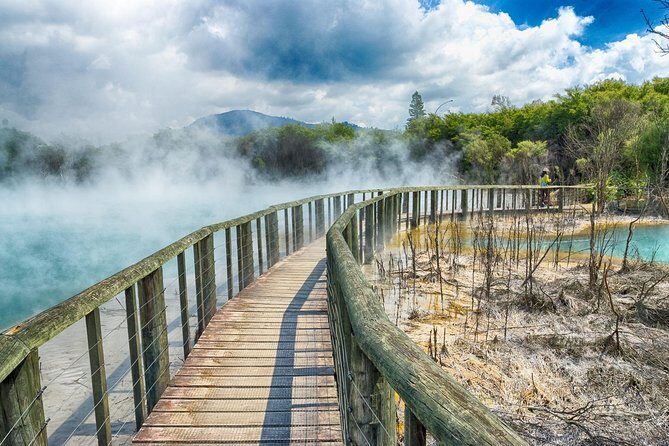 Rotorua Full Day Private Tour from Auckland - The Value of a Private, Guided Tour