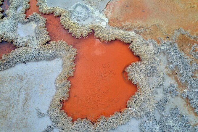 Rotorua Full Day Tour Including Rapids Jet, Wai-O-Tapu & Te Pa Tu - Practical Details for Travelers