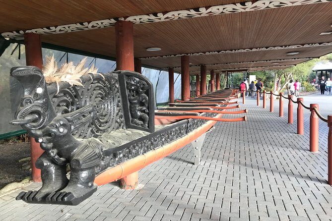 Rotorua Geothermal Wonderland Tour  Departs Tauranga - An In-Depth Look at the Rotorua Geothermal Wonderland Tour