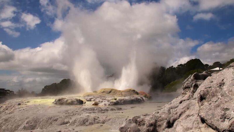 Rotorua: Glowworm Cave, Redwoods Forest & Te Puia Tour - Exploring the Highlights in Detail