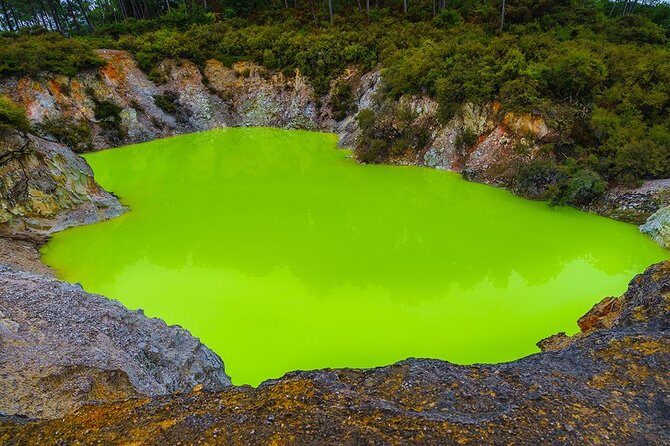 Rotorua Highlights inc. Waiotapu & Te Puia Day Tour from Auckland - What the Reviews Say