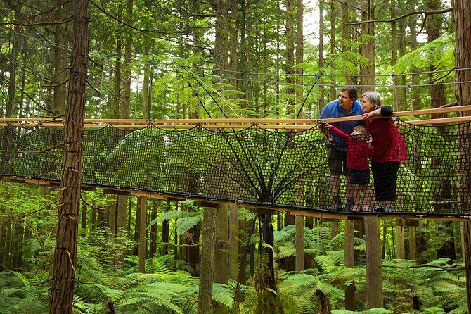 Rotorua Highlights Tour from Auckland with Optional Extras - The Sum Up