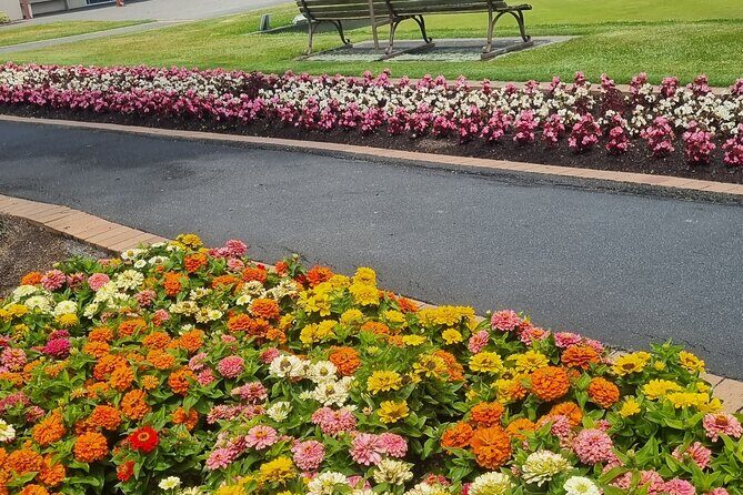 ROTORUA Highlights Tour In A Small Group - Key Points