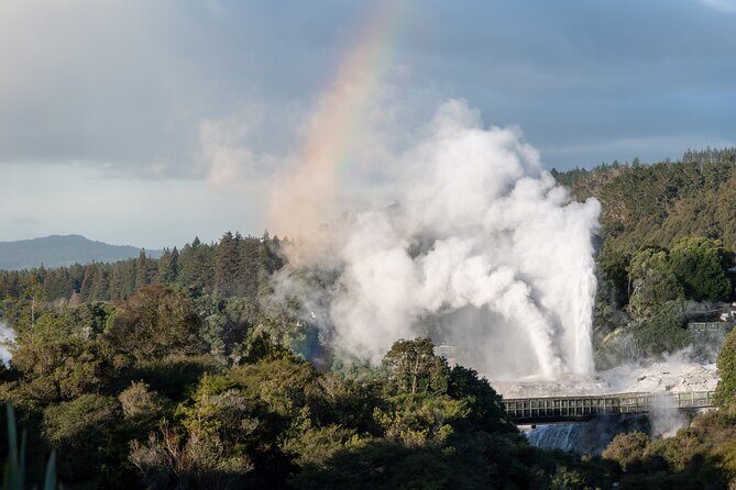 Rotorua Highlights Tour inc. Te Puia Tour, Lunch & Cultural Show - In-Depth Analysis: Is It Worth the Price?