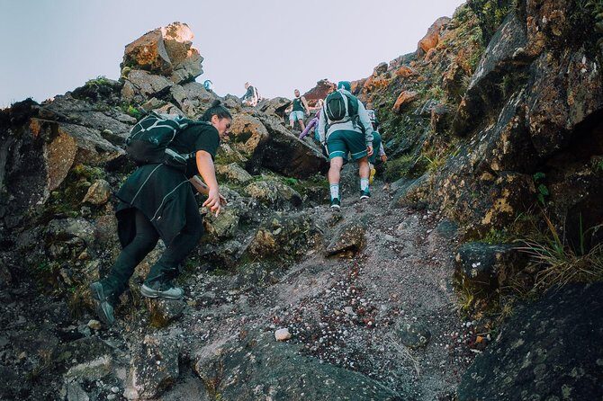 Rotorua Hiking: Mt Tarawera Guided Volcanic Crater Experience - What Makes This Tour Stand Out