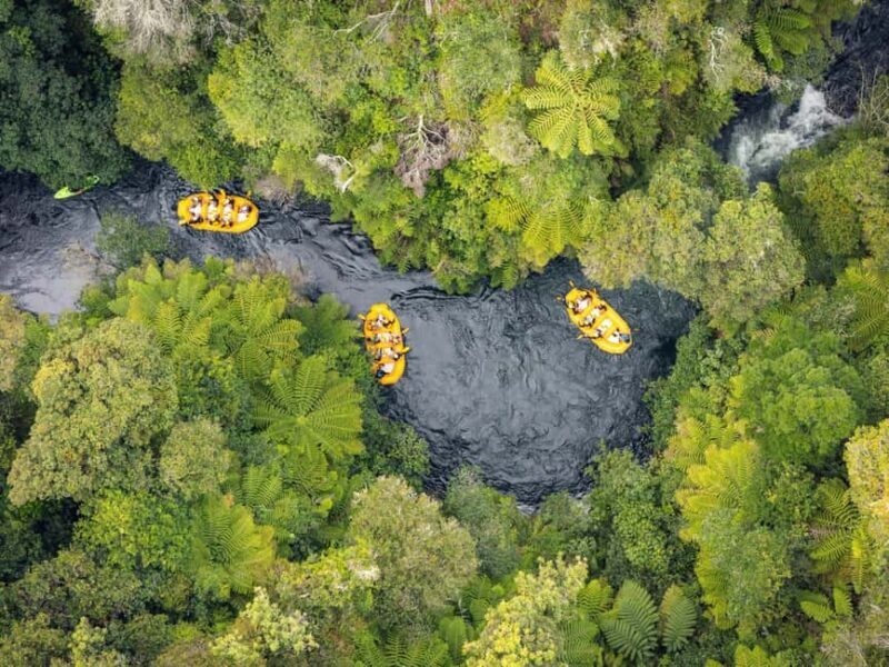 Rotorua: Kaituna River Rafting Experience - The Sum Up
