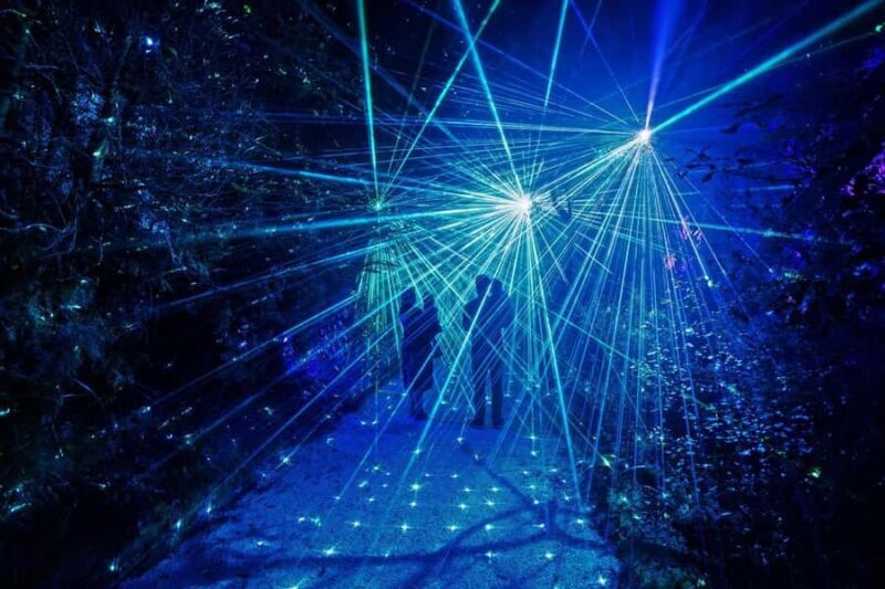 Rotorua: Marama Geyser Light Trail & Geothermal Experience - Is It Worth It?