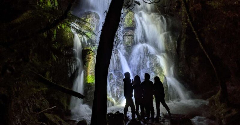 Rotorua: Nocturnal Glow-Worm Adventure Tour with a Guide - Who Is This Tour Best Suited For?