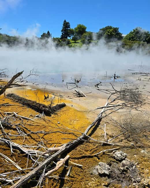 Rotorua: Private Day Tour with Tesla Model Y - Key Points