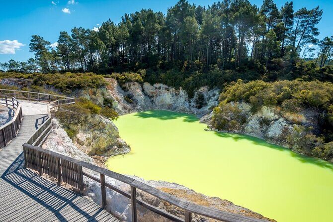 Rotorua Private Tour from Tauranga (up to 11 people) - Practical Details: Timing, Transportation, and Group Size