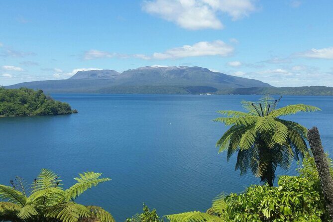 Rotorua Private Tour from Tauranga (up to 11 people) - Authentic Experiences and Traveler Insights