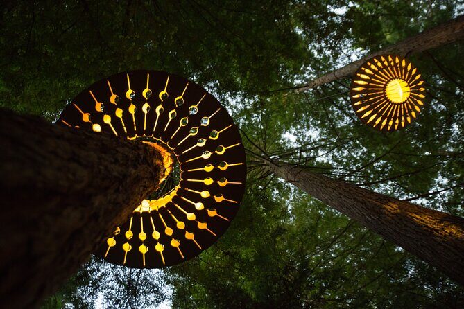 Rotorua: Redwoods Adventure 3-Hours - An In-Depth Look at the Redwoods Adventure Experience