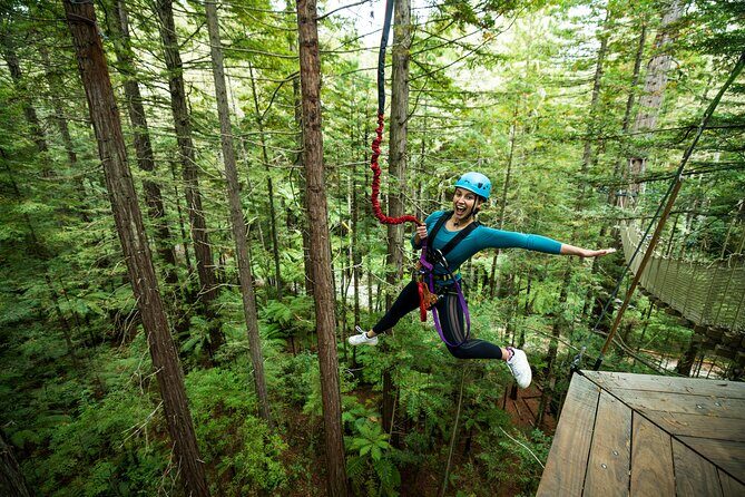 Rotorua: Redwoods Altitude High Ropes Adventure - Practical Aspects and Tips
