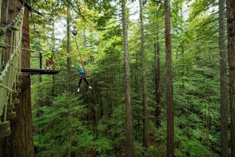 Rotorua: Redwoods Altitude High Ropes Adventure - An In-Depth Look at the Redwoods Altitude High Ropes Tour