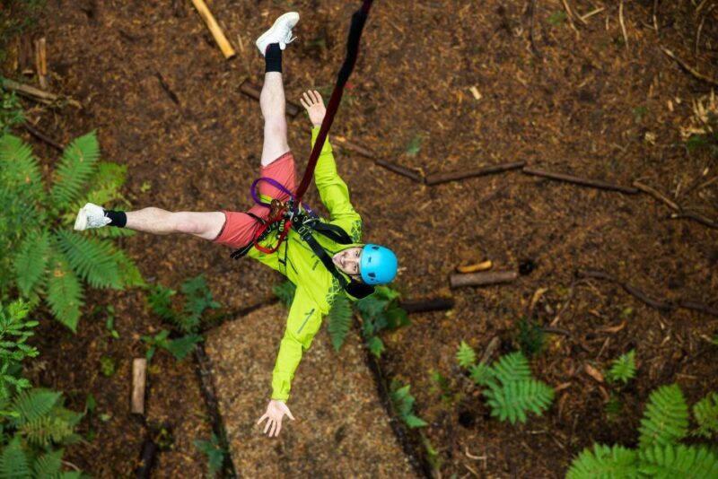 Rotorua: Redwoods Altitude High Ropes Adventure - The Sum Up: Who Will Love This Adventure?