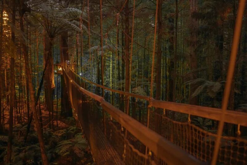 Rotorua: Redwoods Altitude, Nighttime Fast Pass, & Treewalk - Guides and Safety
