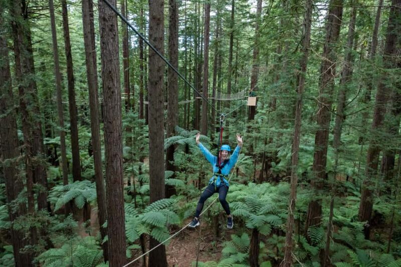 Rotorua: Redwoods Altitude, Nighttime Fast Pass, & Treewalk - Practical Tips for Participants