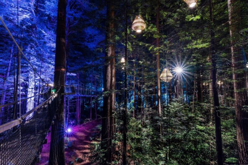 Rotorua: Redwoods Altitude, Nighttime Fast Pass, & Treewalk - Who Will Love This Experience?