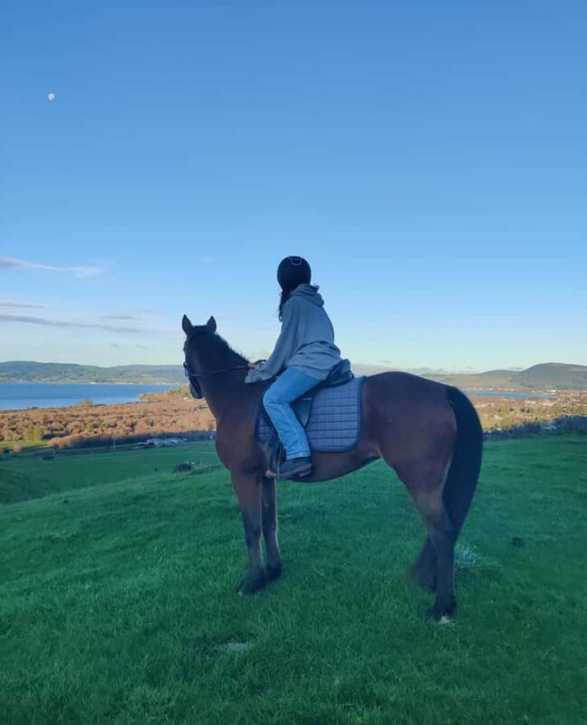 Rotorua: Scenic Horse Trek - Key Points