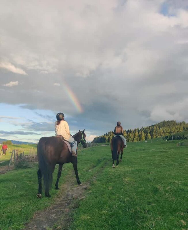 Rotorua: Scenic Horse Trek - An Honest Look at the Rotorua Horse Trek