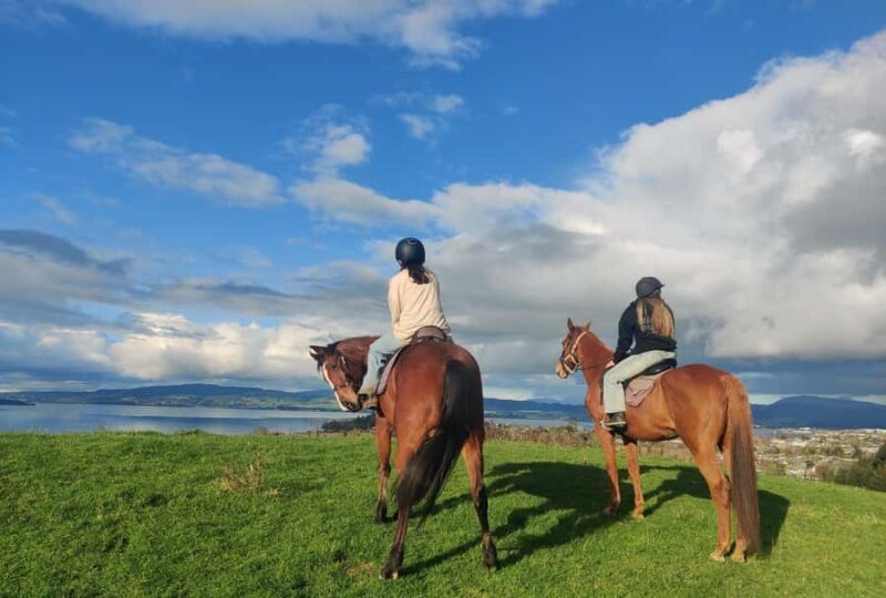 Rotorua: Scenic Horse Trek - Detailed Breakdown of the Tour