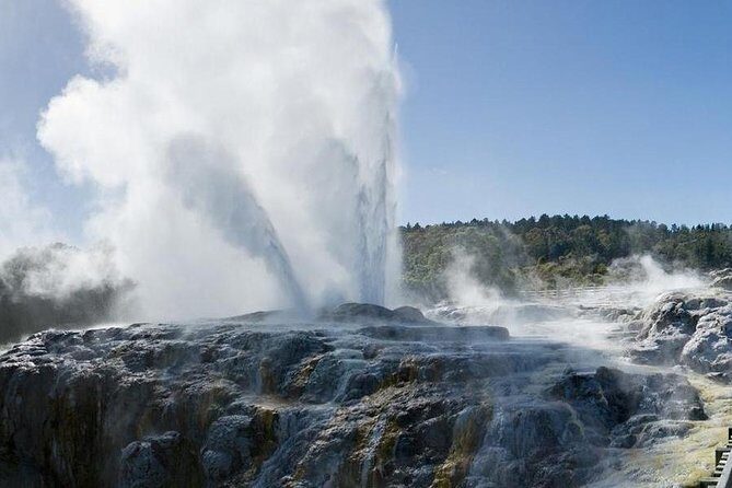Rotorua Small-Group Day Tour from Auckland - What to Expect on the Rotorua Small-Group Day Tour
