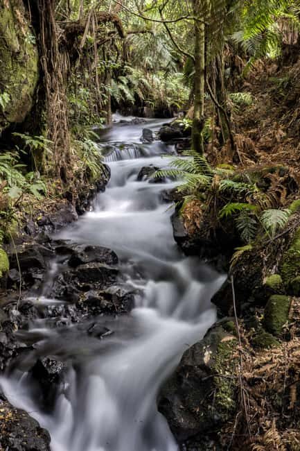 Rotorua: The Buried Village of Te Wairoa - Introduction