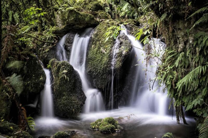 Rotorua: The Buried Village of Te Wairoa - Refreshments and Gift Shop