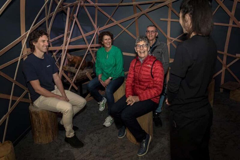 Rotorua: The National Kiwi Hatchery Kiwi Encounter Tour - The Viewing Experience and What You Might See
