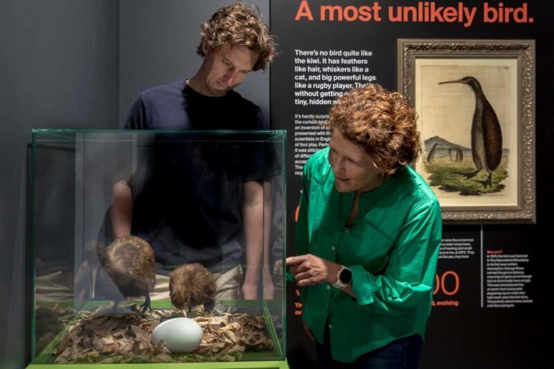 Rotorua: The National Kiwi Hatchery Kiwi Encounter Tour - Guides and Education