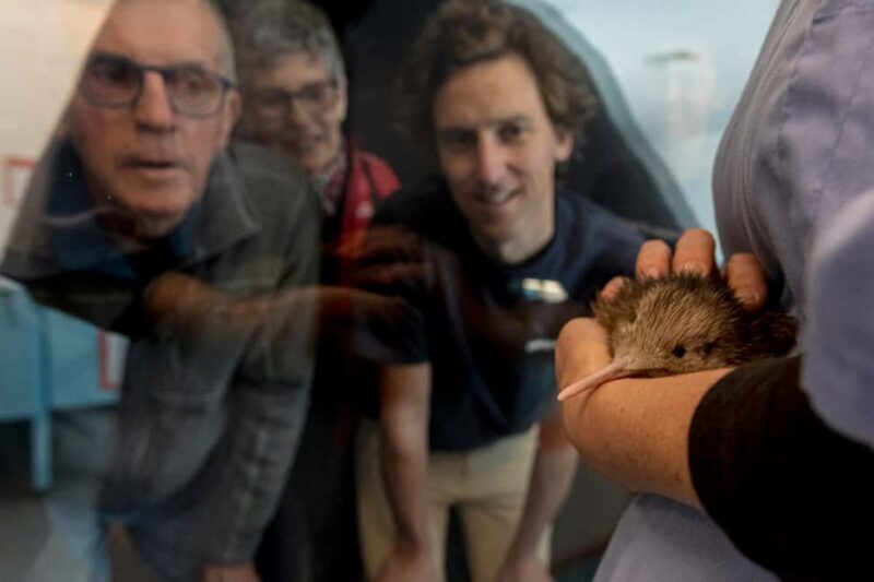 Rotorua: The National Kiwi Hatchery Kiwi Encounter Tour - Logistics and Practicalities