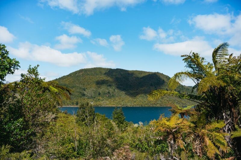 Rotorua: 'Thermal Path Tour' Geothermal half day Tour - An In-Depth Look at the Thermal Path Tour