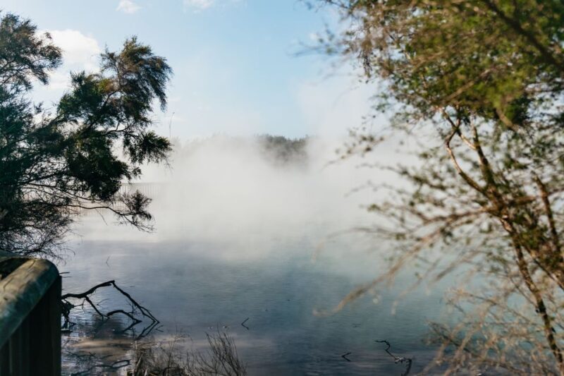 Rotorua: 'Thermal Path Tour' Geothermal half day Tour - Analyzing the Value