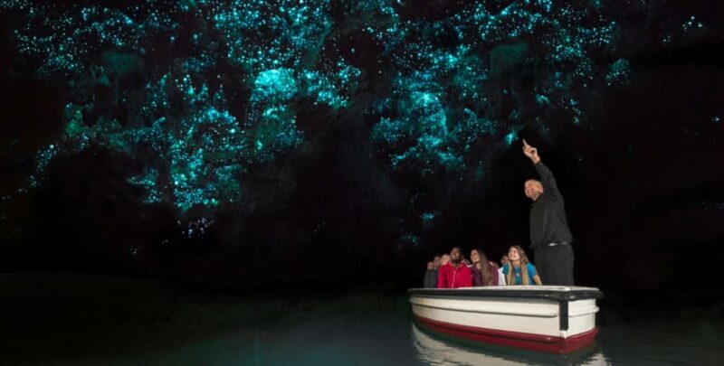 Rotorua to Auckland - Afternoon Transfer with Waitomo Caves - A Practical, Well-Designed Transfer to a Natural Wonder