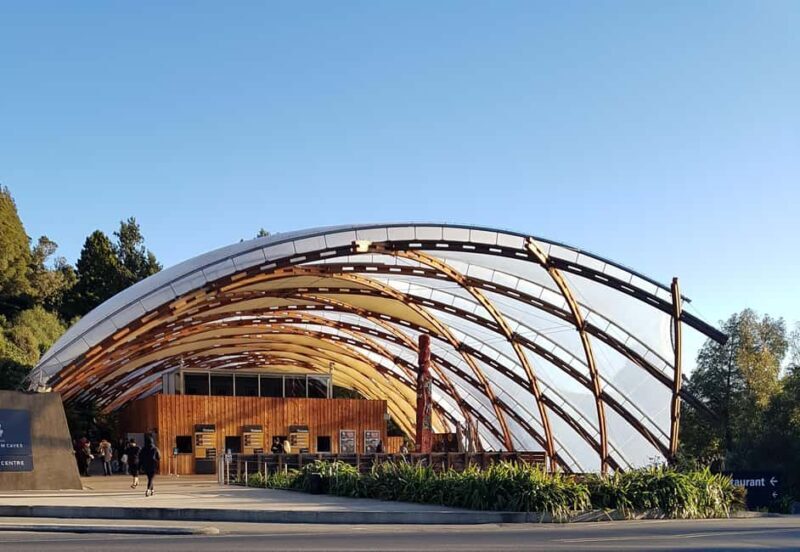 Rotorua to Auckland - Afternoon Transfer with Waitomo Caves - Transportation and Comfort