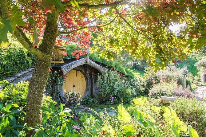 Rotorua to Auckland via Hobbiton Tour with Lunch - One Way - Practical Tips