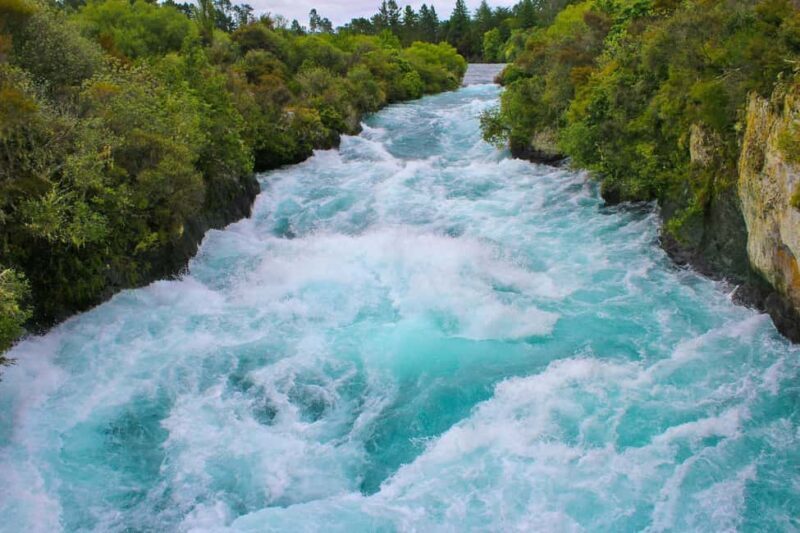 Rotorua: to Auckland via WaiOTapu, Taupo & Hamilton Gardens - Who This Tour Is Best For